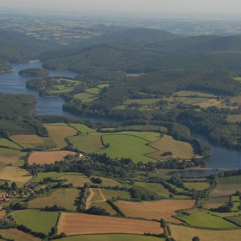 L’histoire de la forêt du Morvan racontée par le pollen - Bourgogne ...