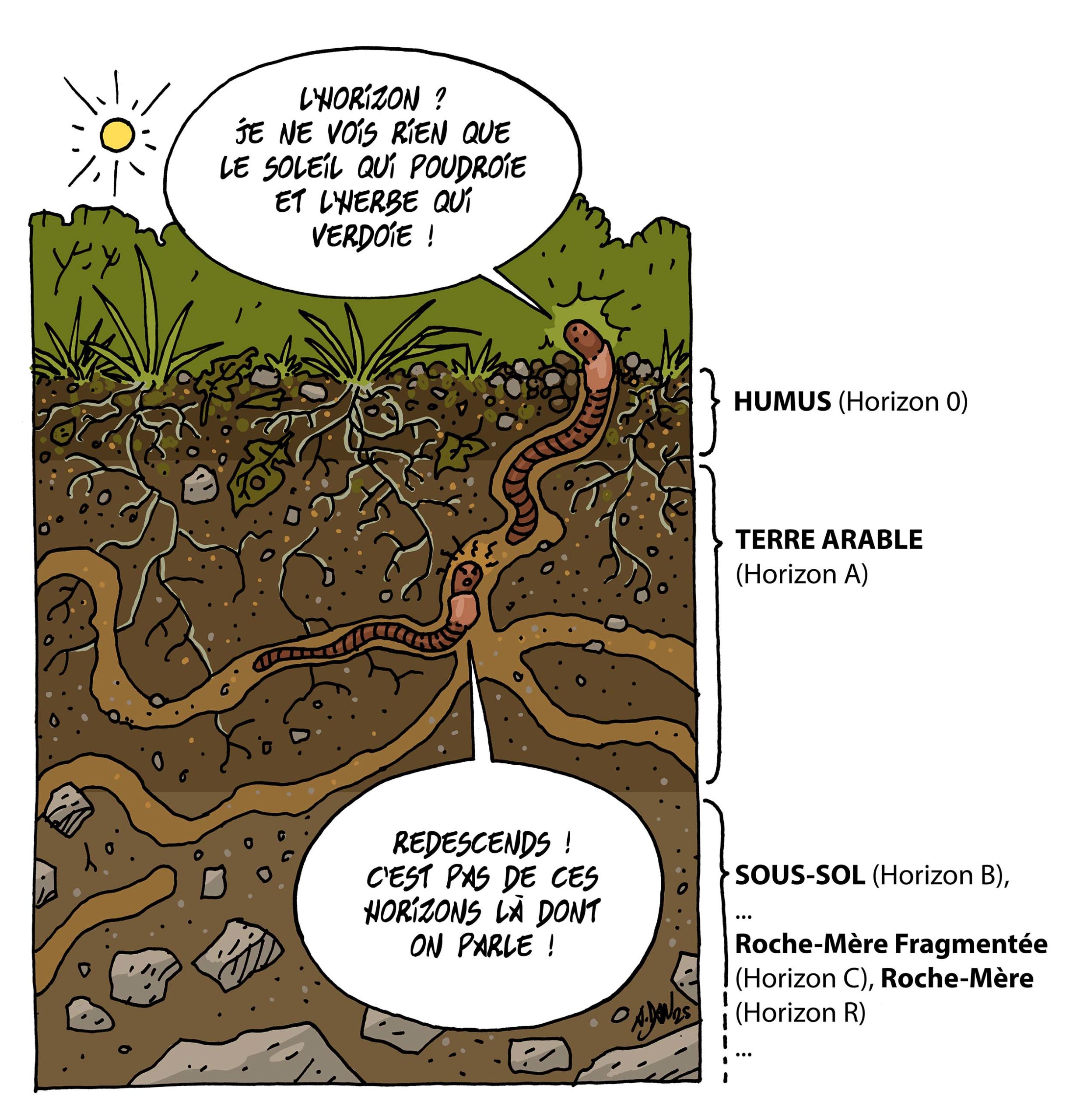 Pour des vers de terre à tous les horizons - Bourgogne-Franche-Comté Nature