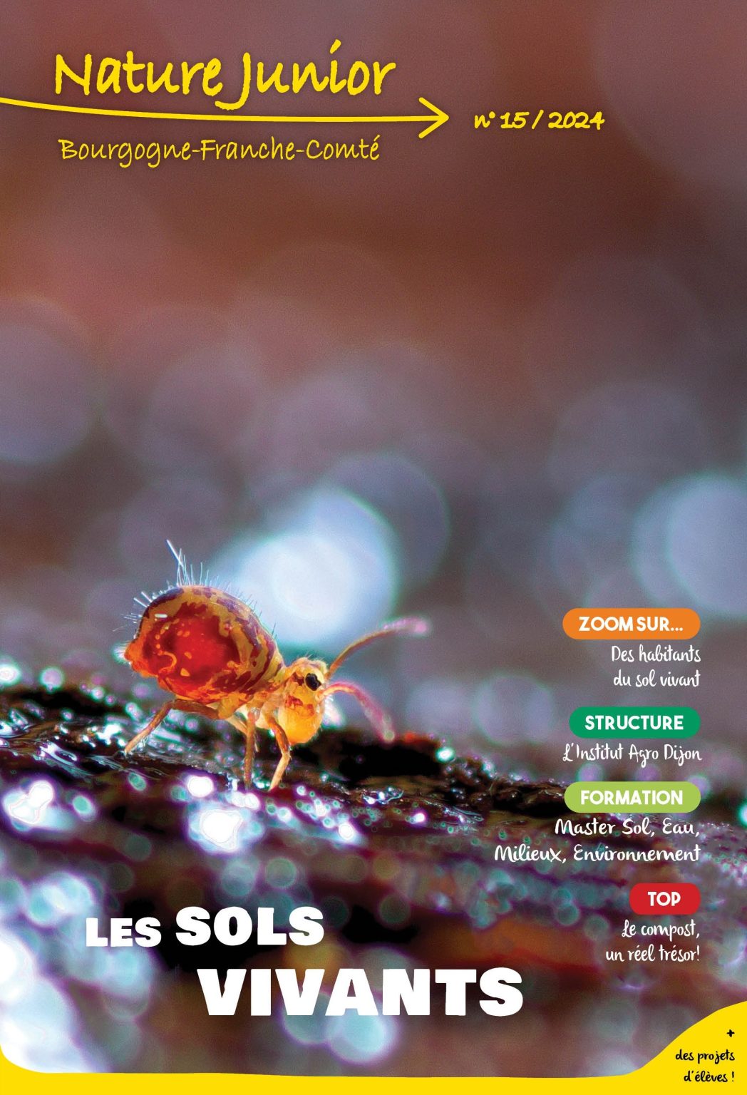 Nature Junior Étiquettes nature junior , sols , sols vivants